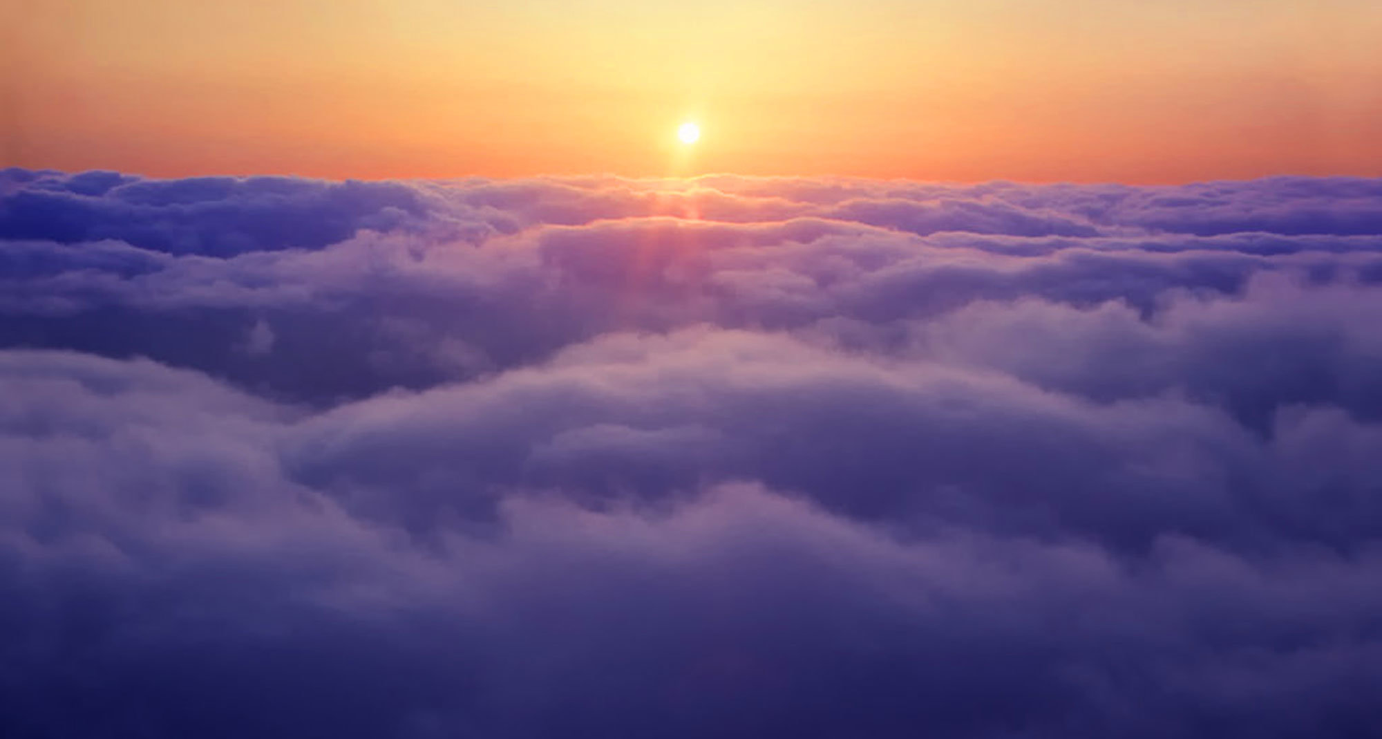 Skycode Oy - Advanced programming according to your needs