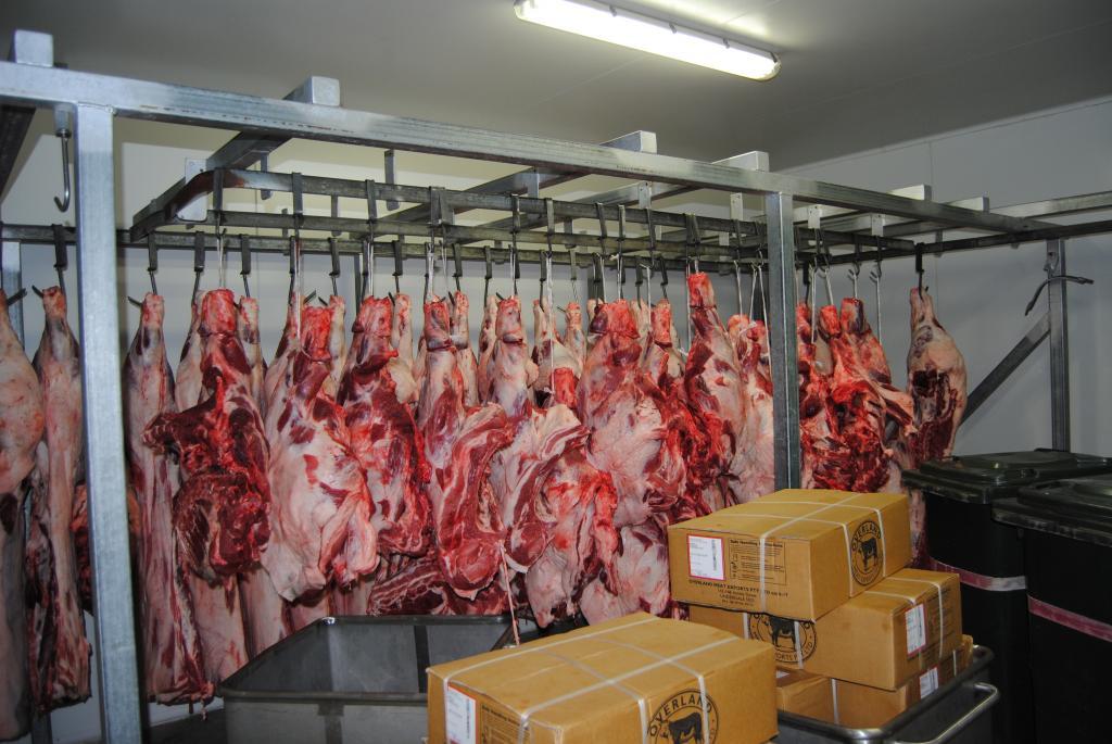 Monitoreo automático de temperatura de refrigeradores - Skycode Oy